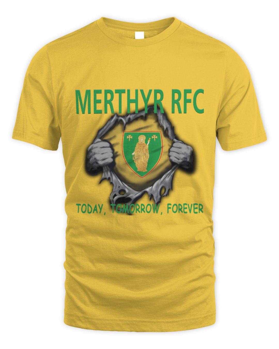 Merthyr Rugby today Forever Wales | alumemories