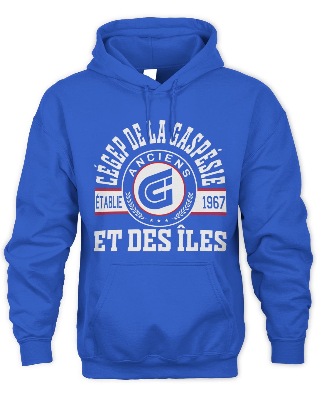 Cégep de la Gaspésie et des Îles-CAD-Lgo2
