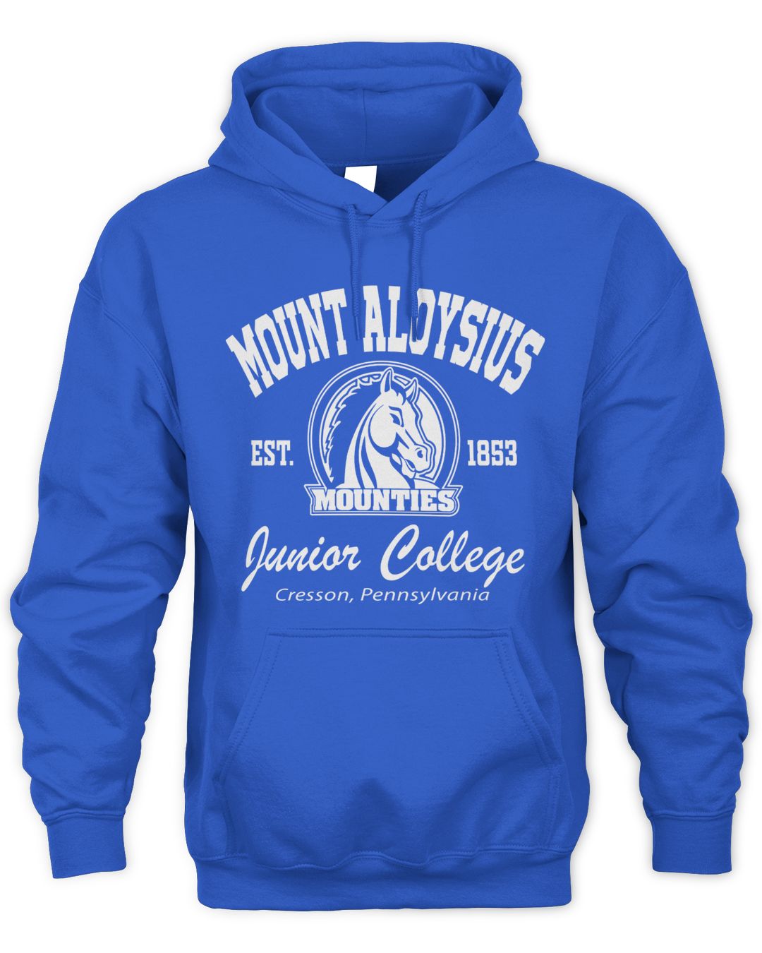 Mount Aloysius JC PA Motto